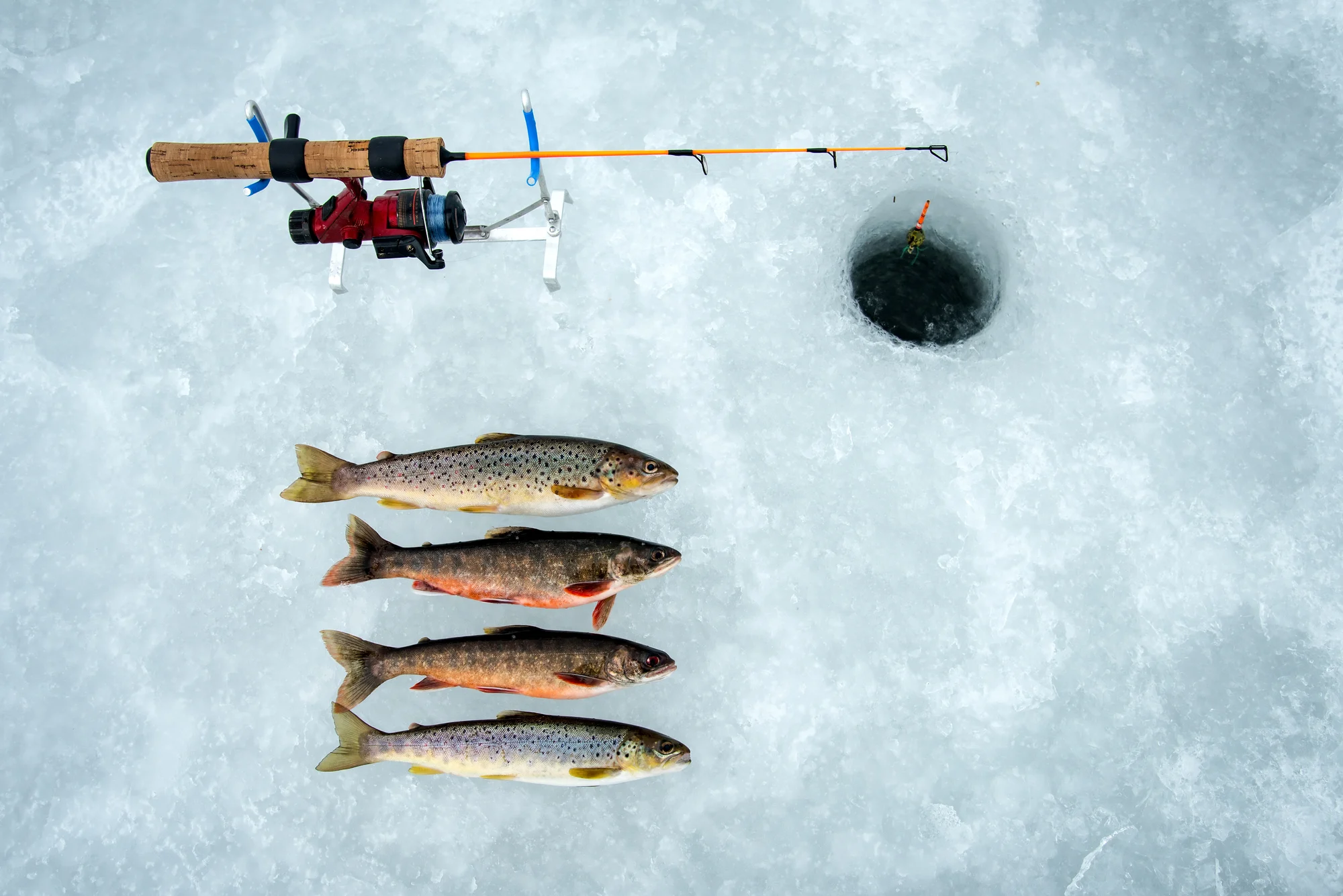 When is the Coldest Month in Europe?